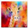 Trademark Art Jai Johnson Jazzy Giraffe by Jai Johnson - Photograph on Canvas & Reviews | Wayfair